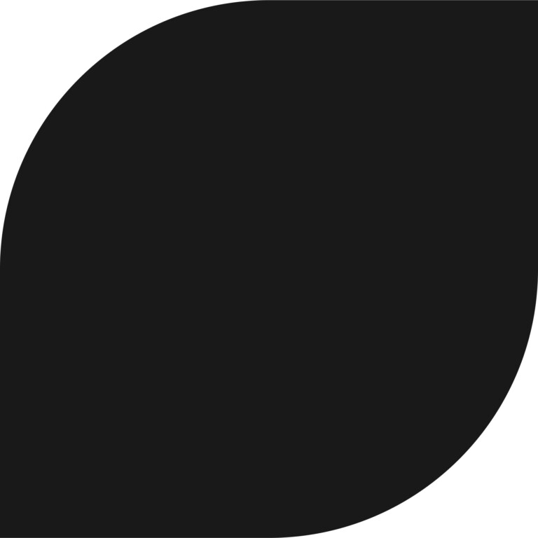 DevRev — Brand - Standard Projects