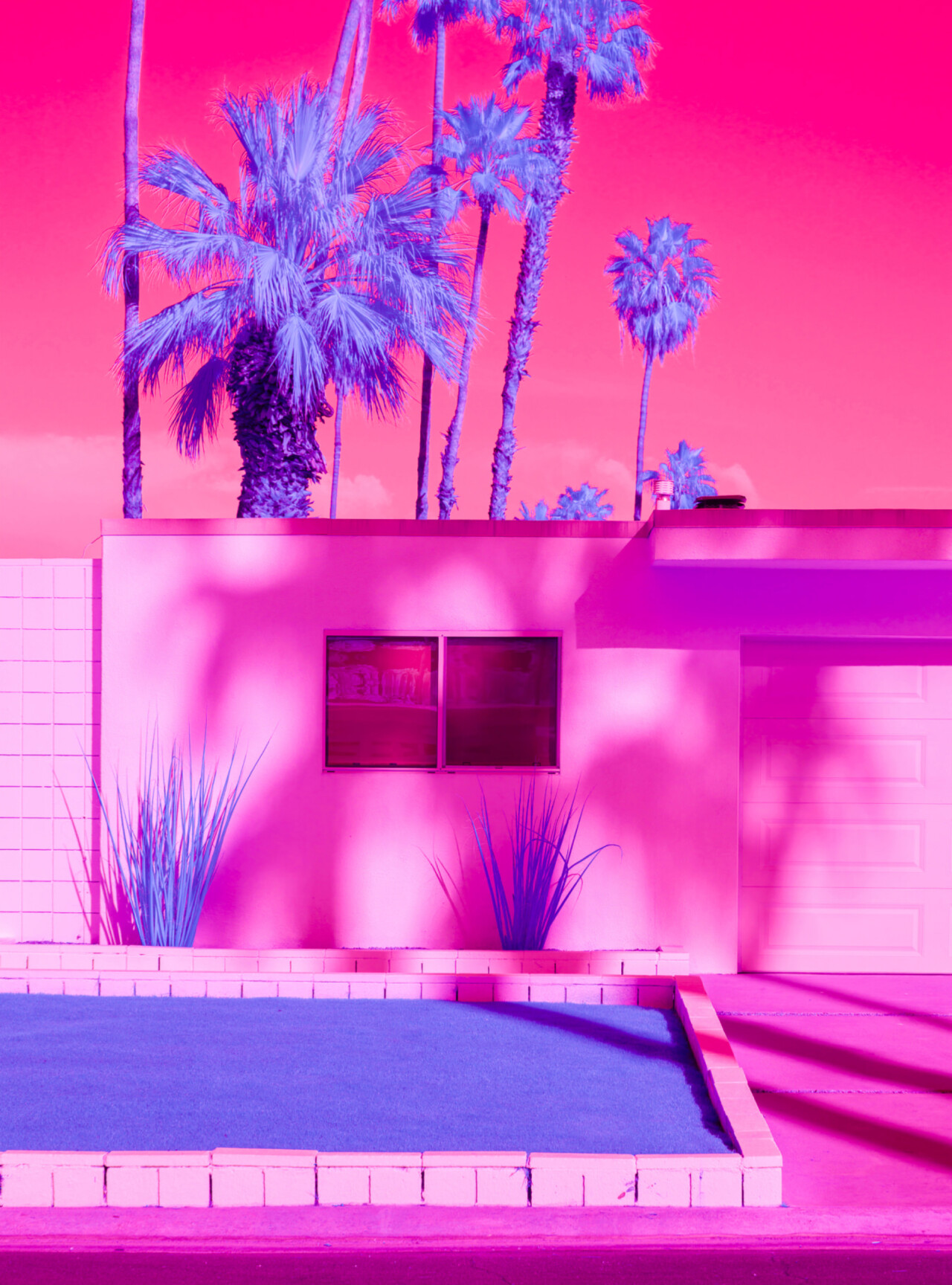 Programa — Digital - Standard Projects